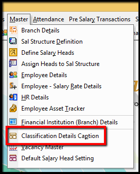 Extended Classification Fields in Saral PayPack - Detailed explanation